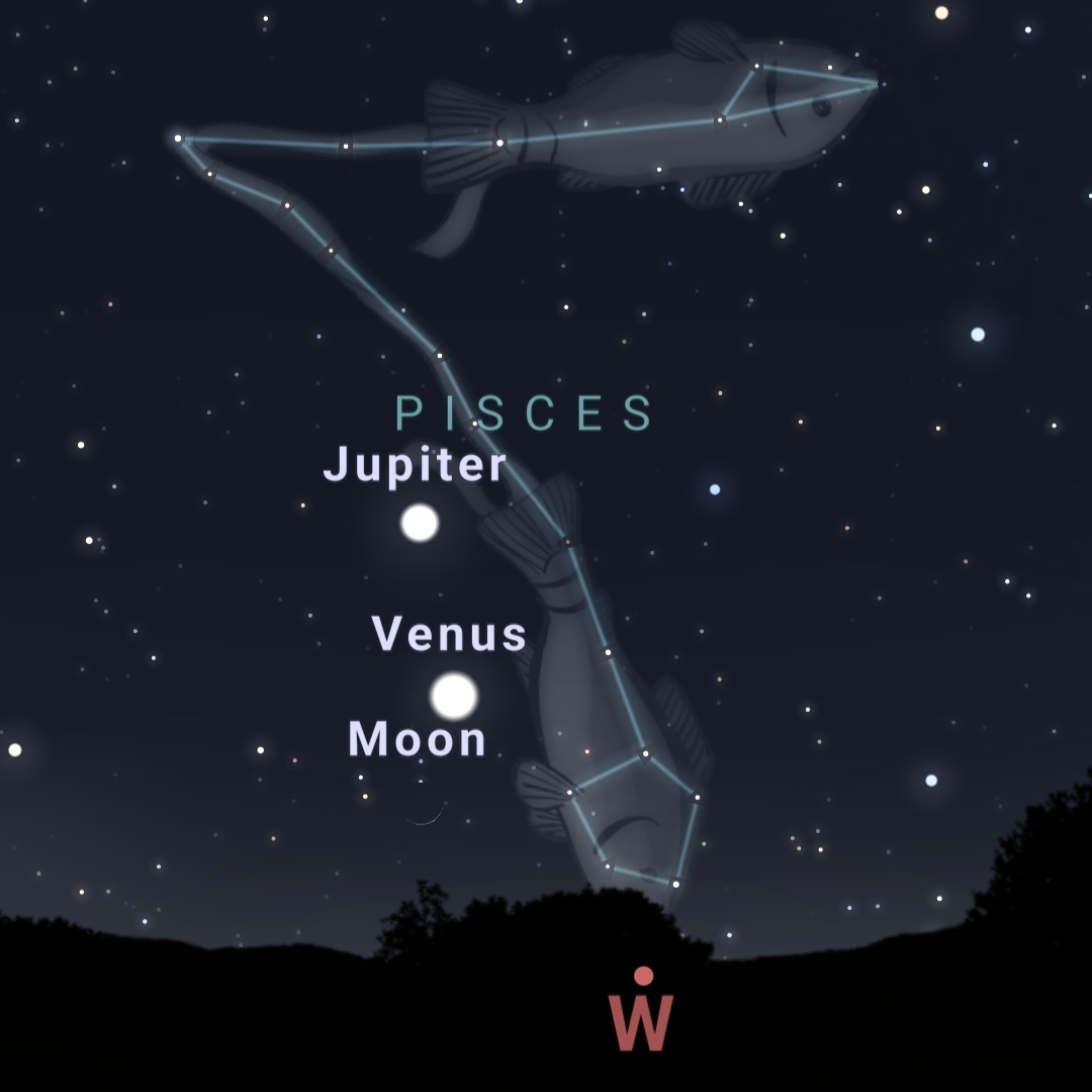 The Pisces New Moon and the Third Chakra Gate of Venus - Turning of the ...